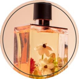 MY FRAGRANCE COMPANY